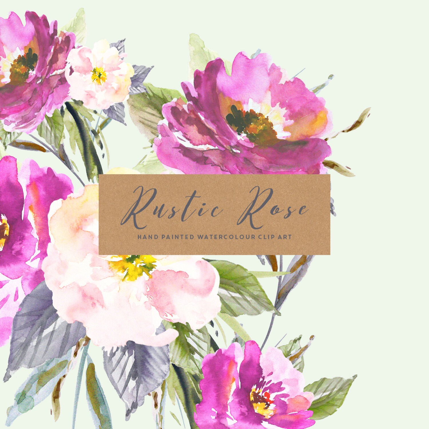 Rustic Rose Hand-Painted Flower Clip Art Collection Rugosa | Etsy