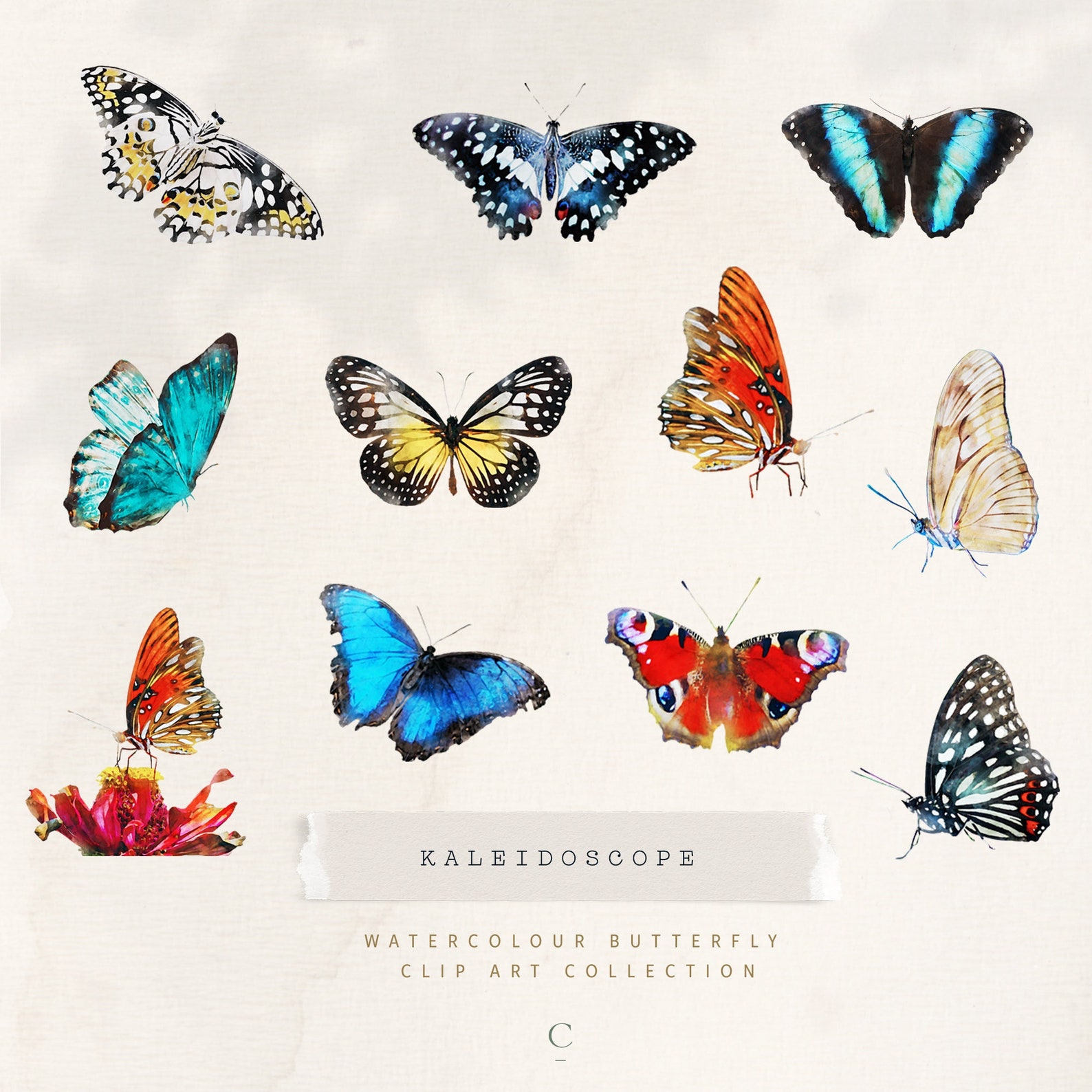 Watercolor Butterfly Clipart Collection, Watercolor Butterfly Png ...