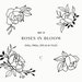 4 Rose SVG Arrangements Floral SVG Files for Cricut & Silhouette ...