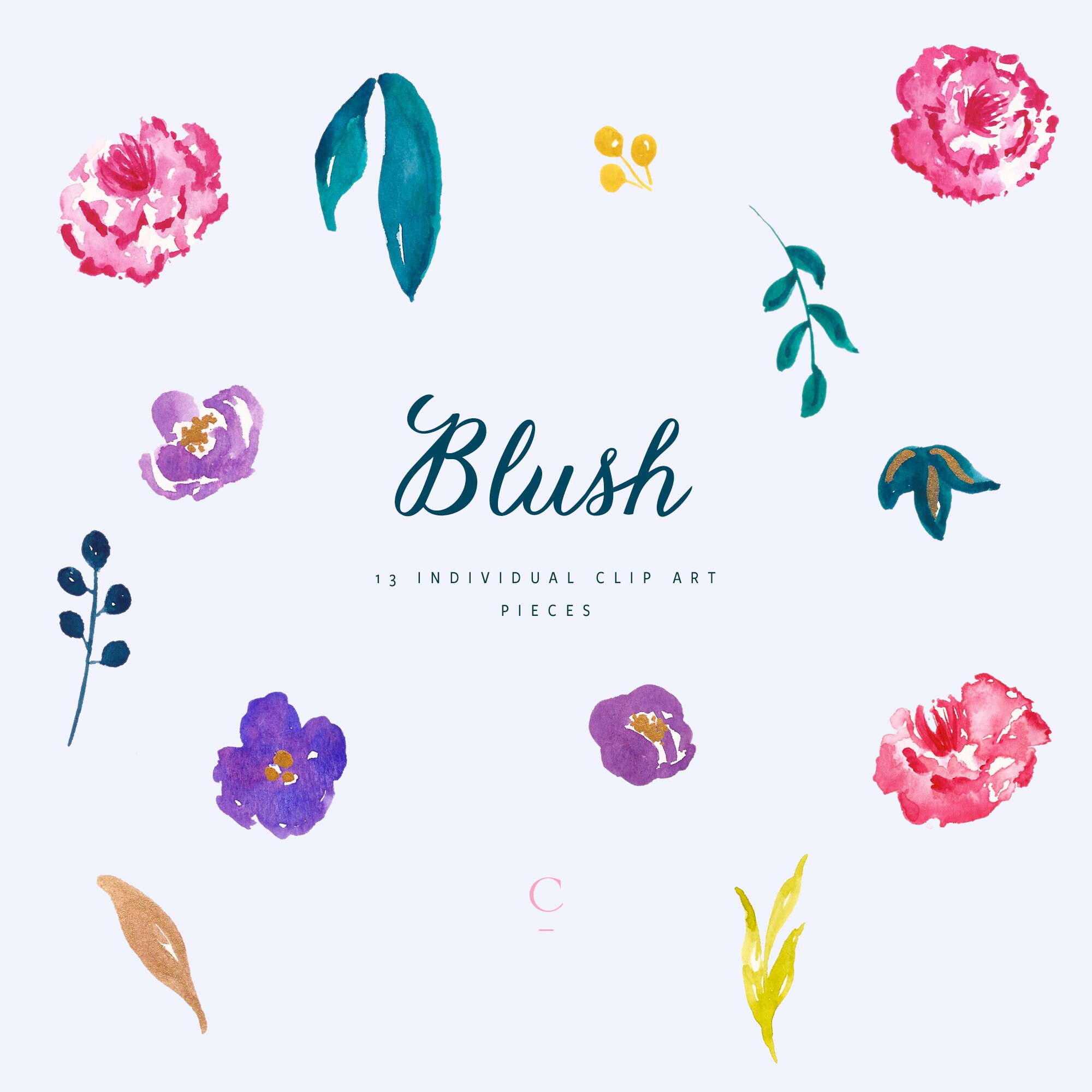 Blush Watercolour Flower Hand Painted Clip Art Blush Pink - Etsy UK