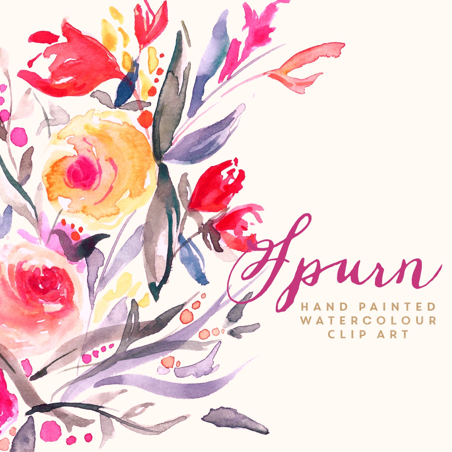 Spurn | Hand-painted Flower Clip Art | Persian Buttercups | Sparkling ...
