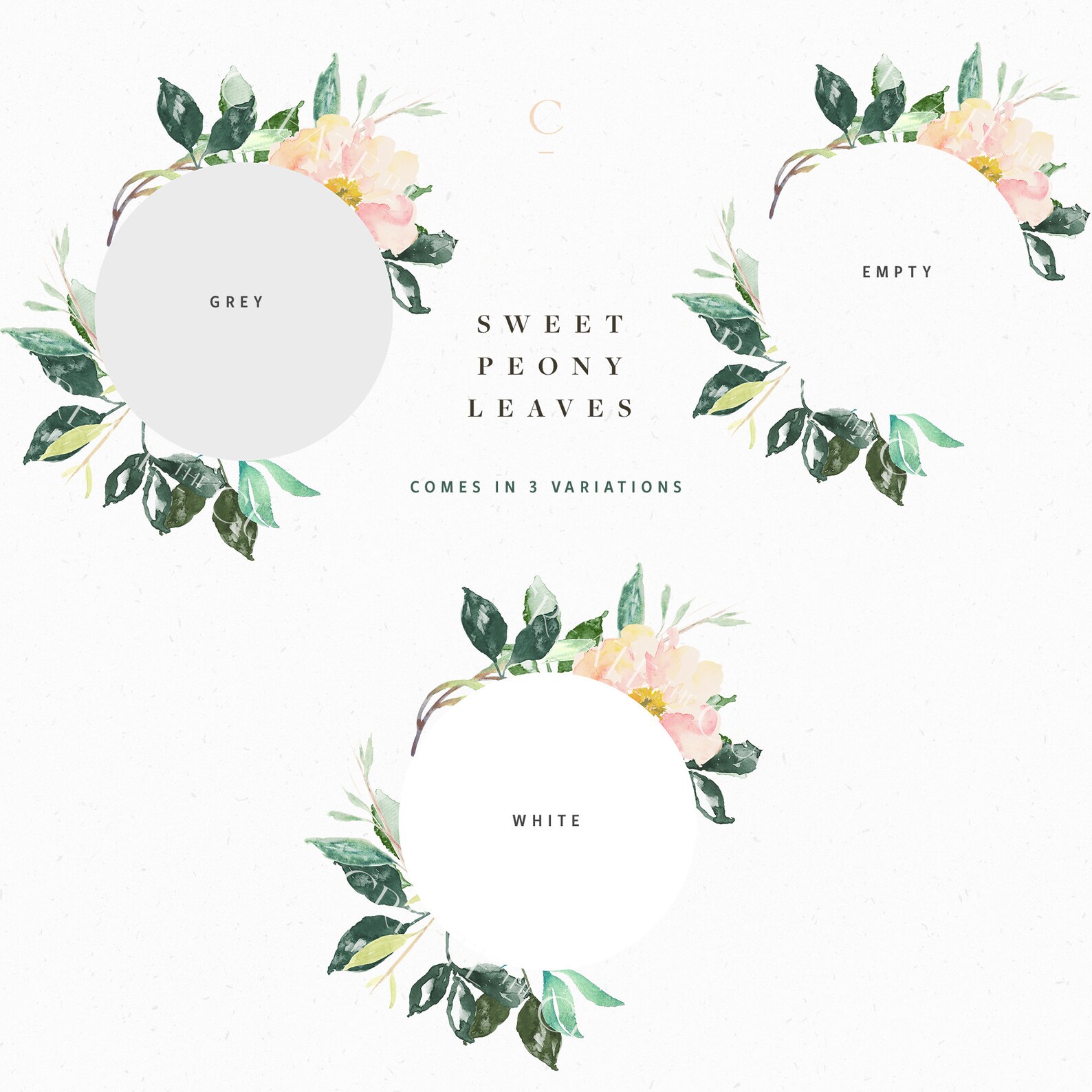 Watercolor Clipart Frame Watercolor Wreath Clip Art | Etsy