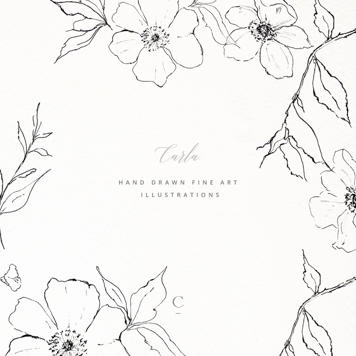 Carla | Hand-drawn Fine Art Graphic Images | Lacy Transparent Hibiscus ...