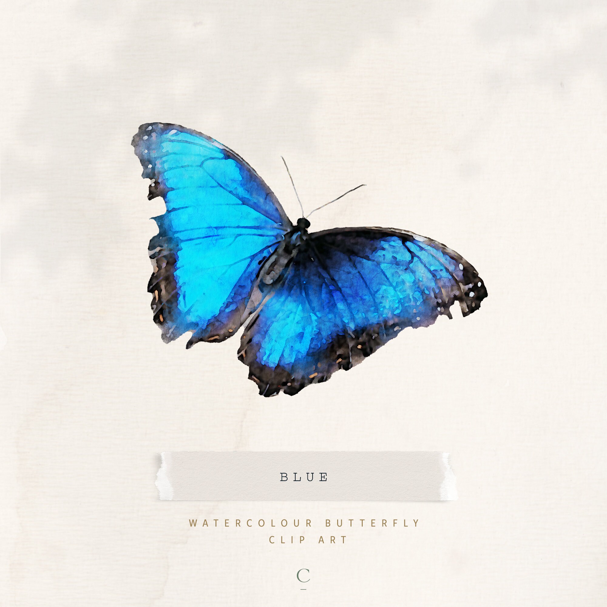 Watercolor Butterfly Clipart Collection Watercolor Butterfly - Etsy UK
