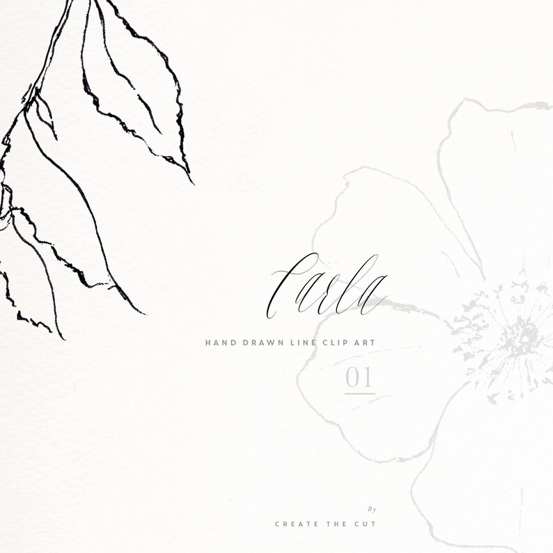 Carla | Hand-drawn Fine Art Graphic Images | Lacy Transparent Hibiscus ...