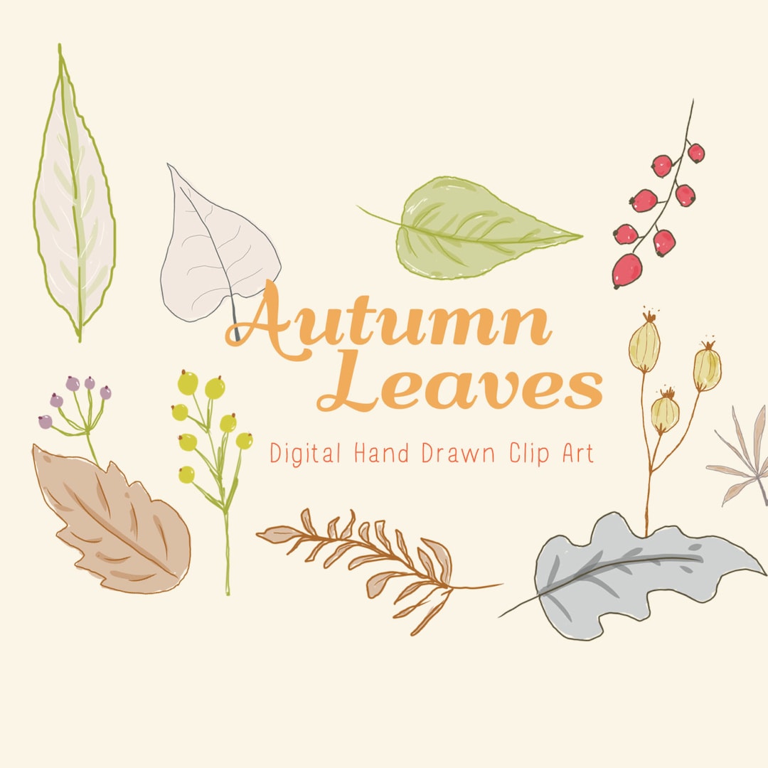 Autumn Leaves - Digital Hand Drawn Clip Art - Etsy