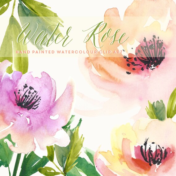 Water Rose Watercolour Hand-painted Clip Art AVAILABLE | Etsy UK