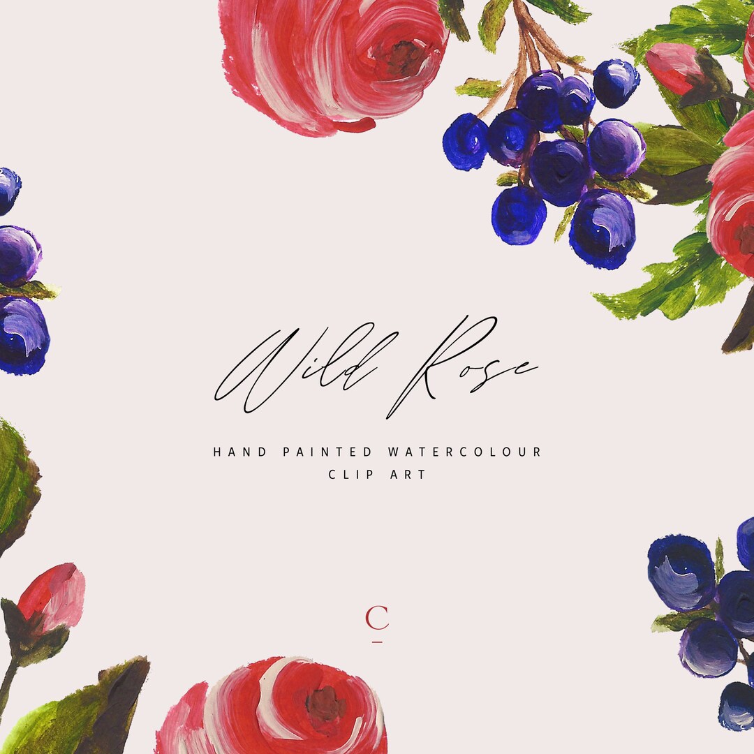 Wild Rose | Clip Art Flowers | Hand-painted Commercial Use Graphics ...