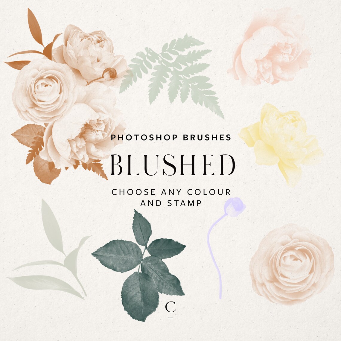 8 Floral Photoshop Brushes - Photoshop Stamps - Flower Stamps ...