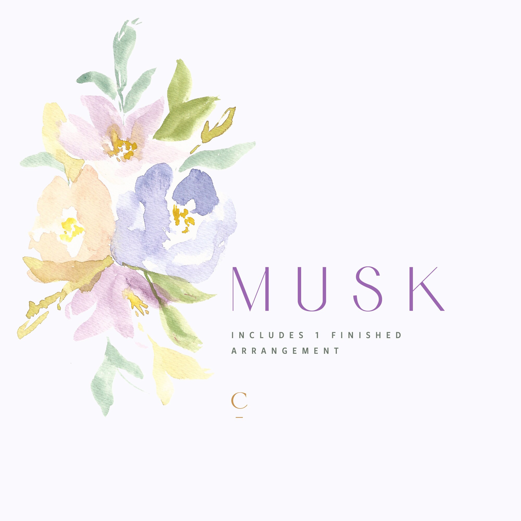 Musk Watercolour Flower Clip Art Hand-painted Graphics - Etsy