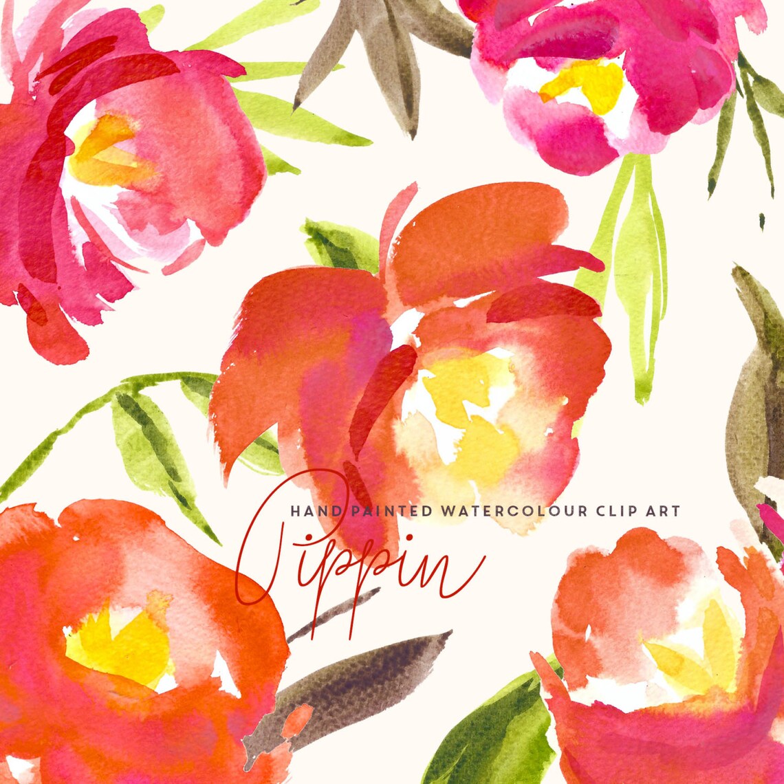Pippin | Watercolour Flower Hand-painted Clip Art | Orange Asiatic ...