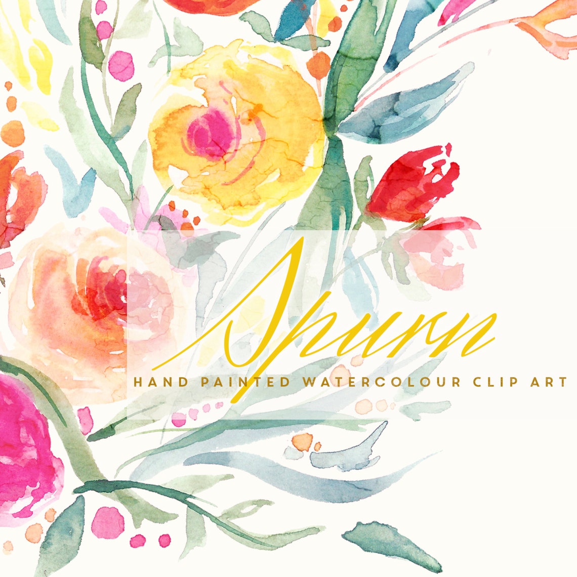 Spurn | Hand-painted Flower Clip Art | Persian Buttercups | Sparkling ...