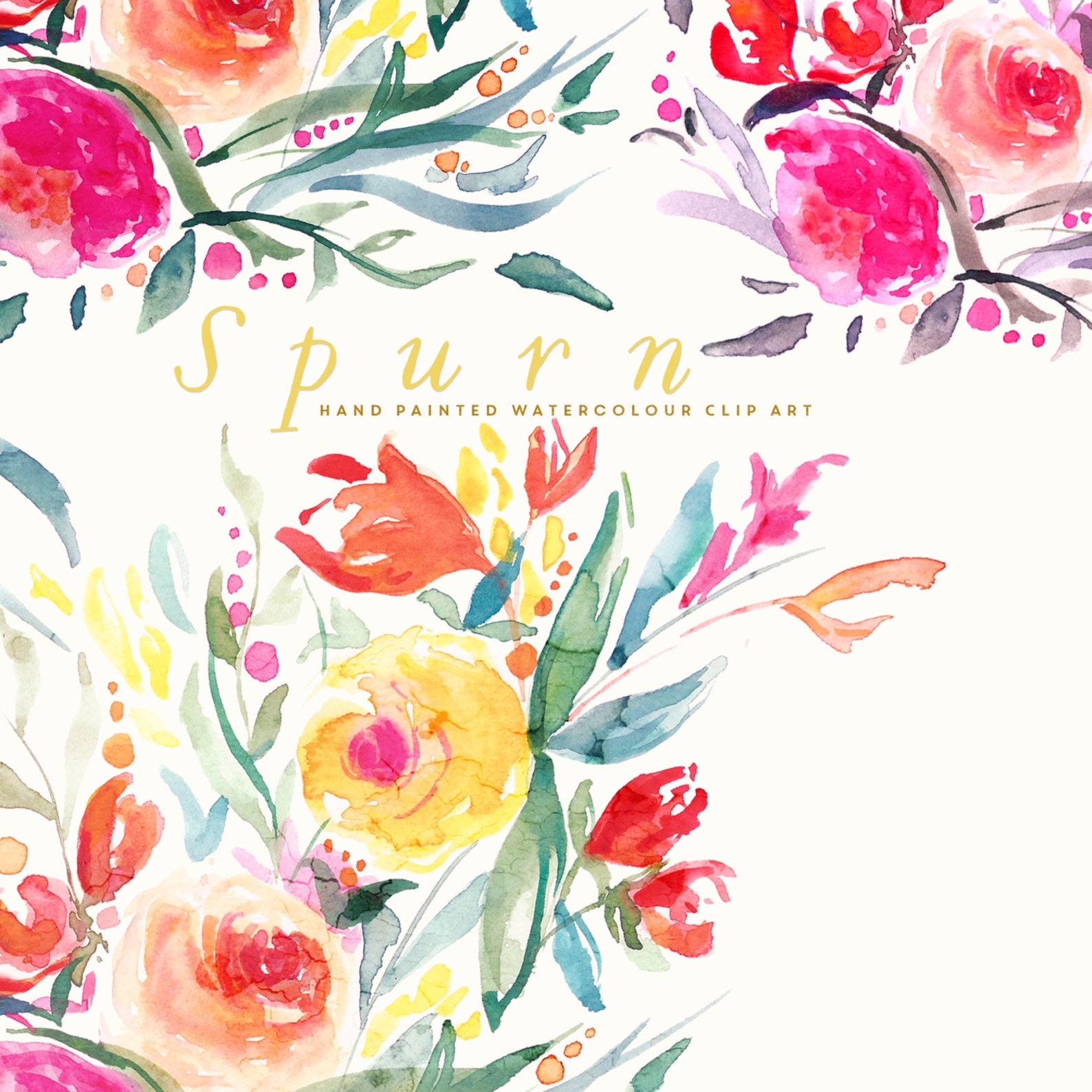 Spurn | Hand-painted Flower Clip Art | Persian Buttercups | Sparkling ...