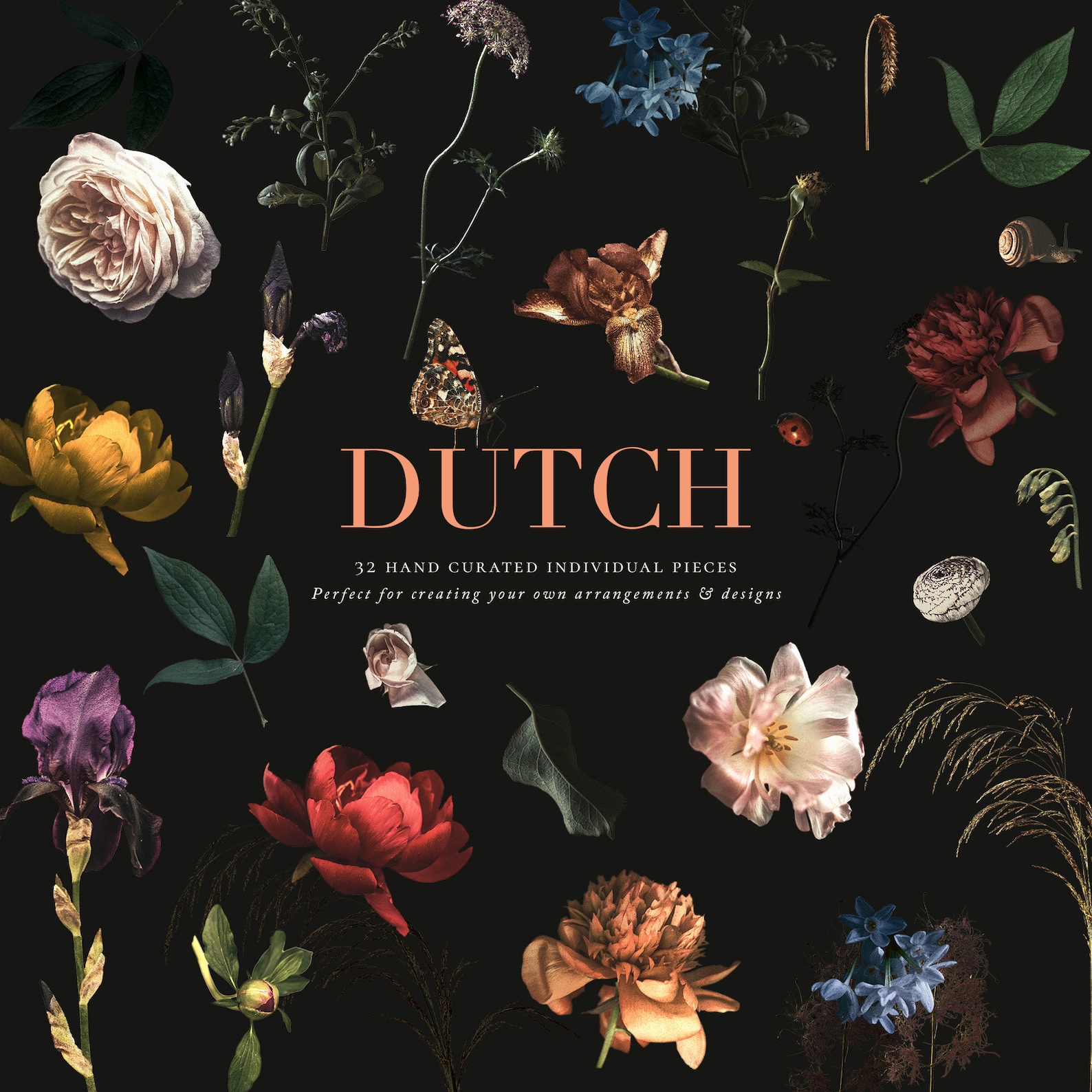 Dutch Floral Clipart - Real Flower Clip Art - Digital Floristry ...