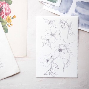 Carla | Hand-drawn Fine Art Graphic Images | Lacy Transparent Hibiscus ...