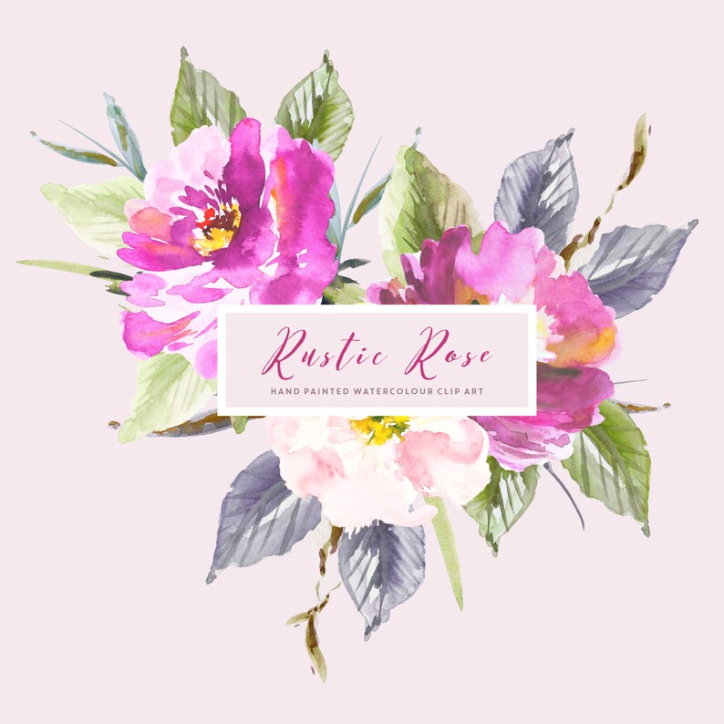 Rustic Rose Hand-Painted Flower Clip Art Collection Rugosa | Etsy