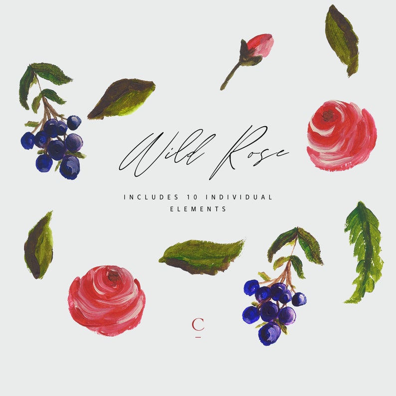 Wild Rose | Clip Art Flowers | Hand-painted Commercial Use Graphics ...