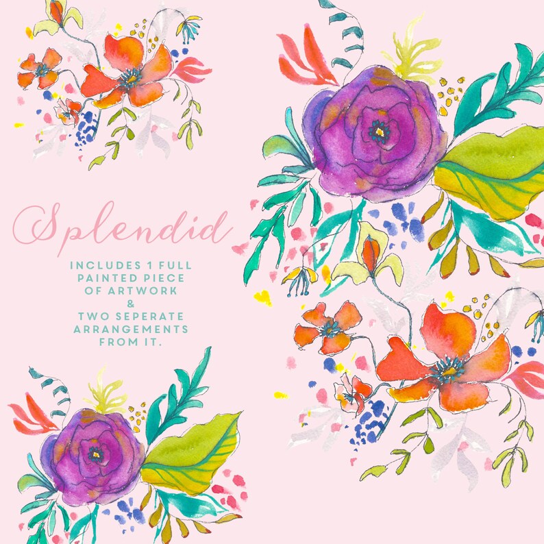 Splendid | Flower Watercolour Clip Art | Hand-painted Graphics | Bold ...