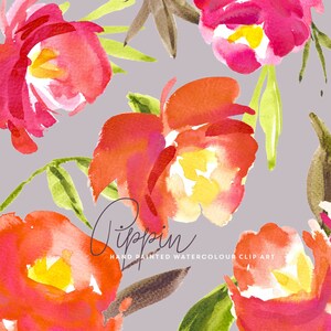 Pippin | Watercolour Flower Hand-painted Clip Art | Orange Asiatic ...