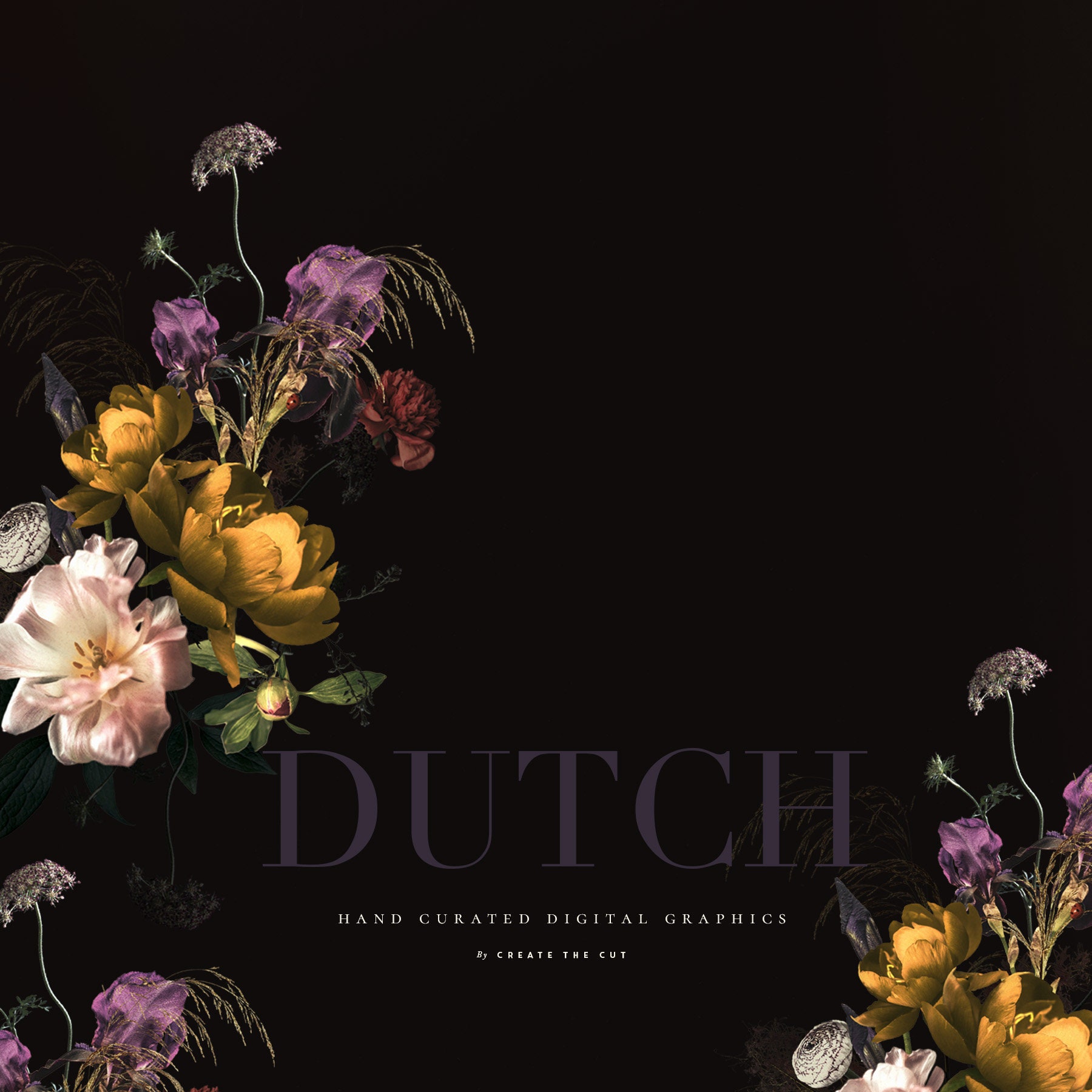 Dutch Floral Clipart - Real Flower Clip Art - Digital Floristry ...