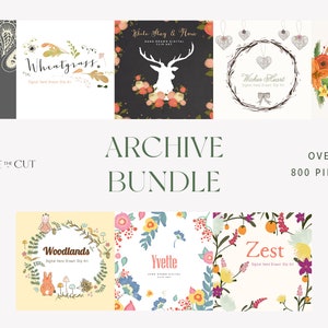 Archive Bundle, Watercolor Clip Art Bundle, Floral Clipart Bundle ...