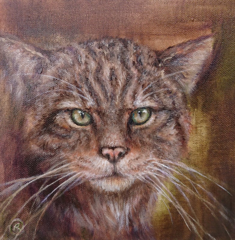 Art & Collectibles Scottish Wildcat fine art Highland Tiger giclee ...