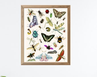 Vintage Bug Print - Etsy