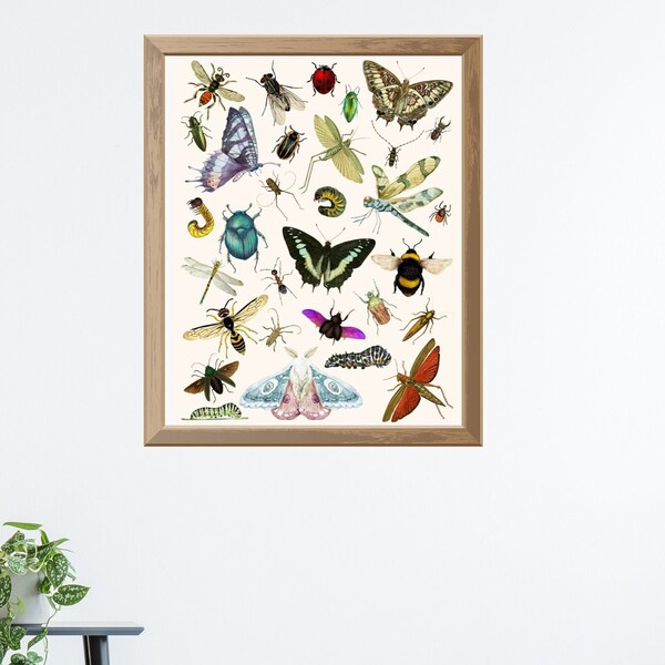 Insect Wall Art - Etsy
