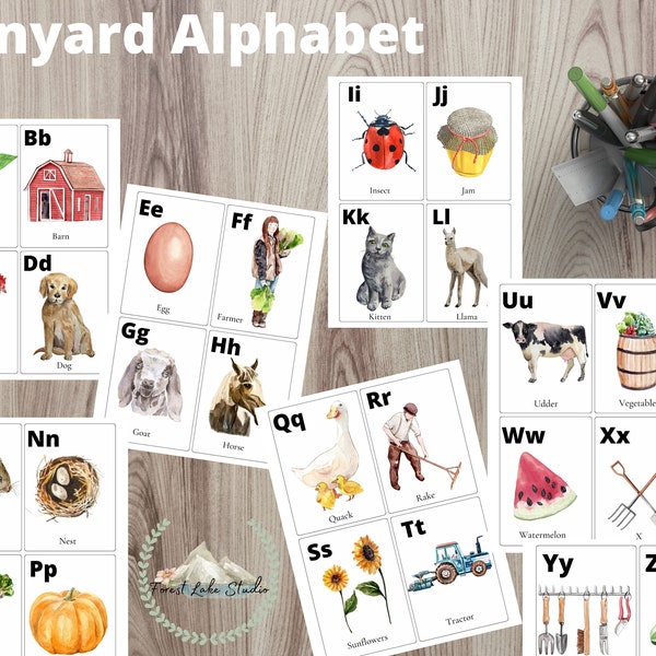 Alphabet Flashcards - Etsy