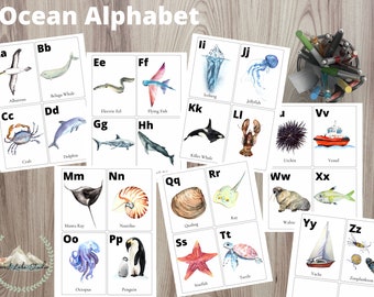 Nautical Flash Cards - Etsy