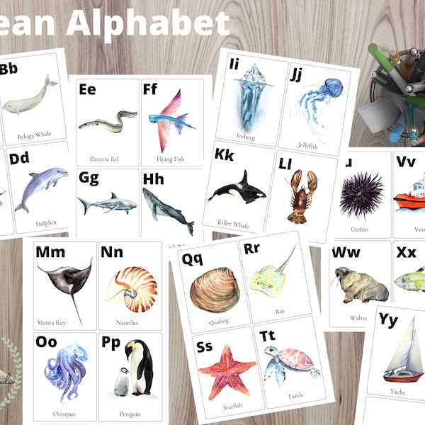 Abc Flashcards - Etsy