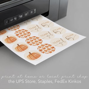 Pumpkin Gender Reveal Stickers Printable - Team Boy - Team Girl - Fall ...