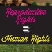 Reproductive Rights Are Human Rights Sign, Pro Women, Pro Choice Yard ...