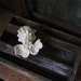 Cherub Trinket Box, Vintage Porcelain Angel Trinket Box, Angel ...