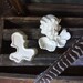 Cherub Trinket Box, Vintage Porcelain Angel Trinket Box, Angel ...