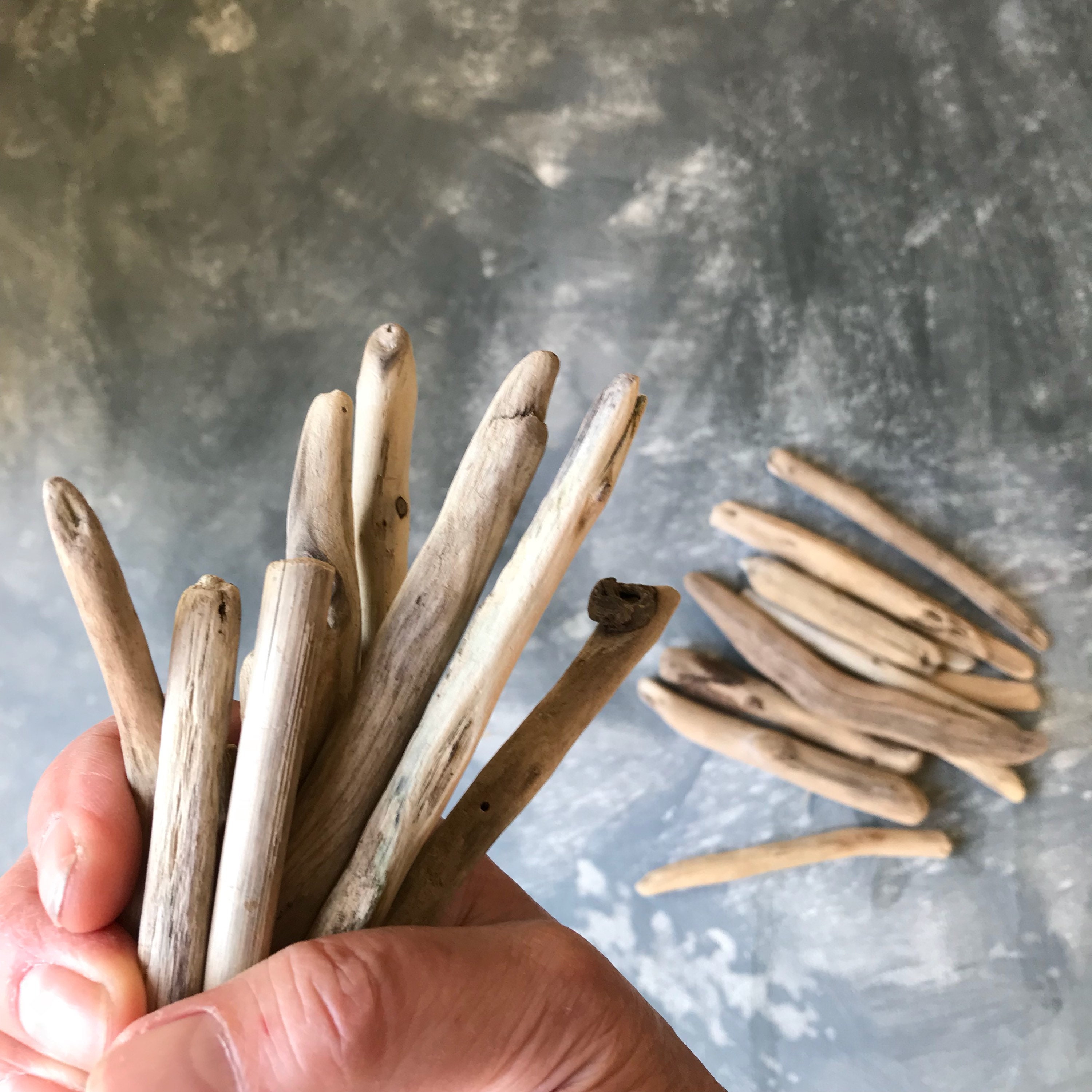 Natural Driftwood Pieces Hand Picked Beach Finds 24 Pieces | Etsy