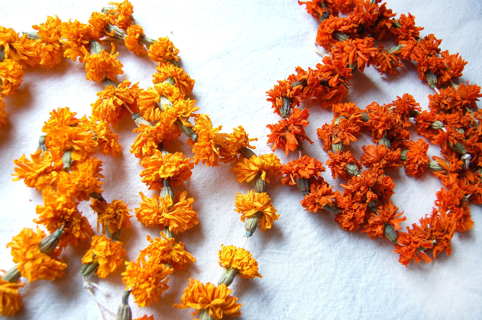 Real Marigold Flower Garland Dried Floral Chain | Etsy