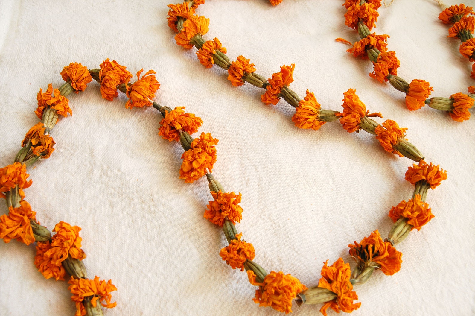 Real Marigold Flower Garland Dried Floral Chain | Etsy