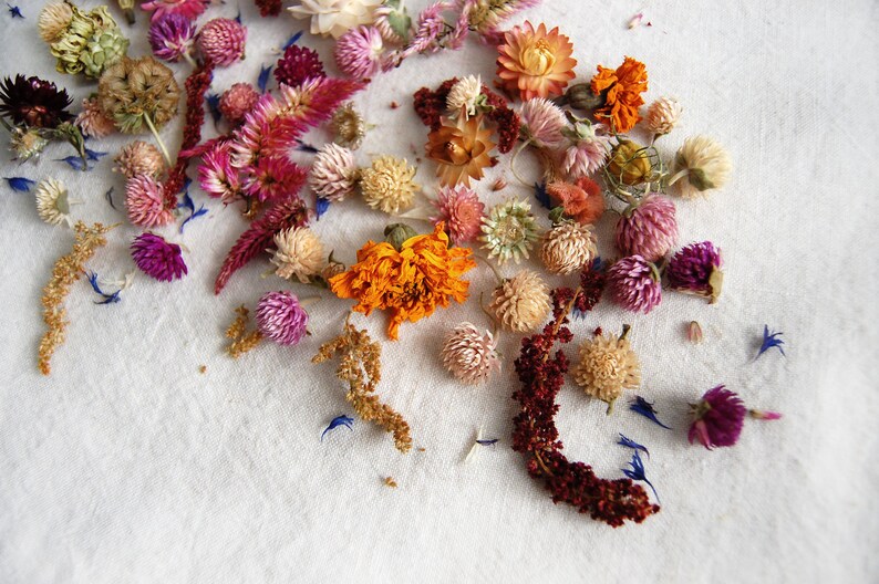 Dried Farm Flower Mix Floral Confetti Photo Styling Organic - Etsy
