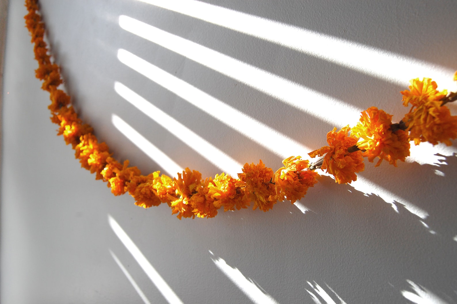 Real Marigold Flower Garland Dried Floral Chain | Etsy
