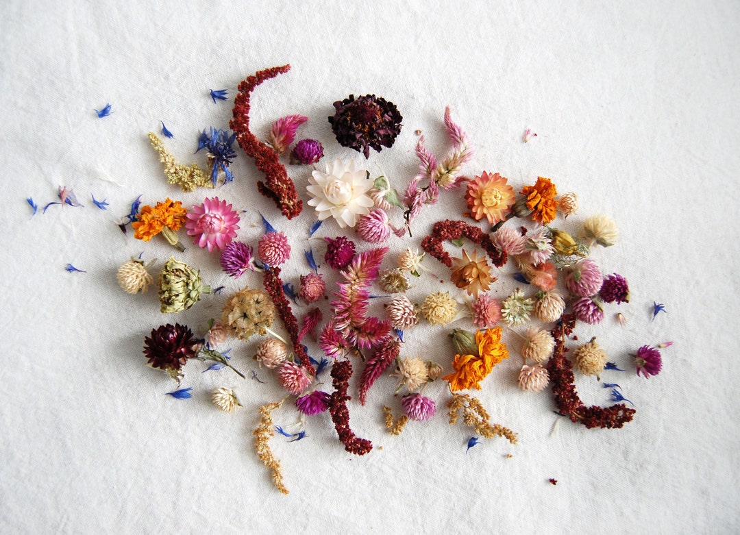 Dried Farm Flower Mix| Floral Confetti| Photo Styling| Organic Tossing ...