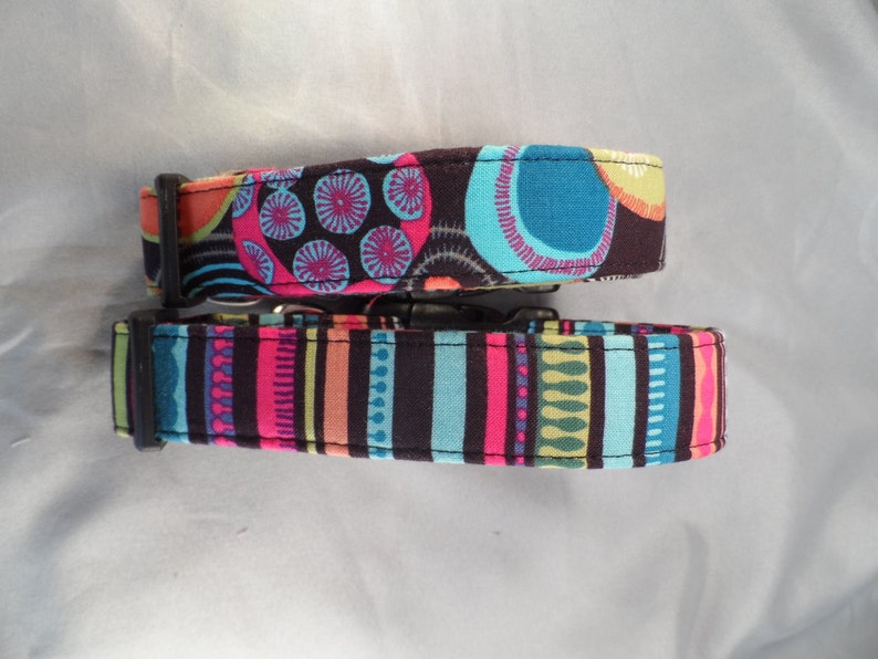 Funky Graphic Circles Dog Collar - Etsy