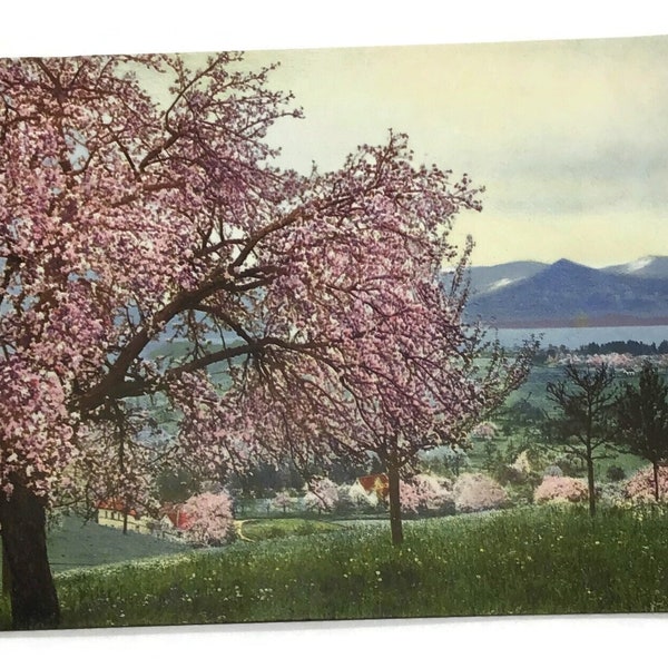 Vintage Landscape - Etsy