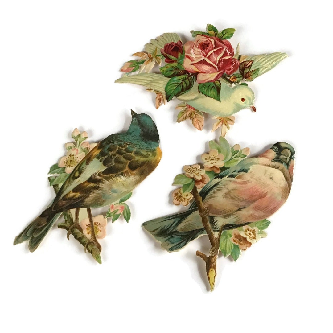 Vintage Victorian Scrap Die Cut Chromo Images, Birds - Etsy
