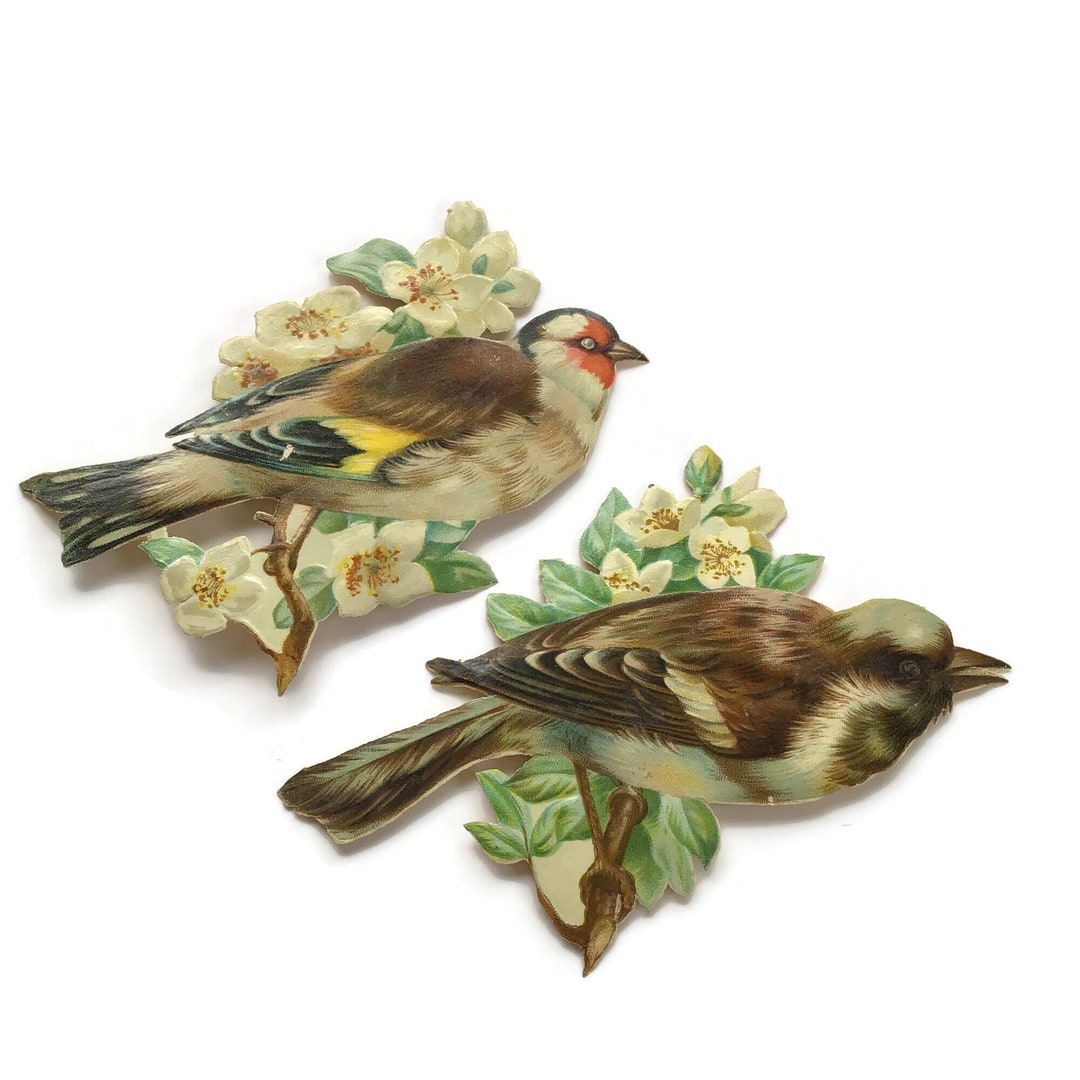 Vintage Victorian Scrap Die Cut Chromo Images, Birds - Etsy