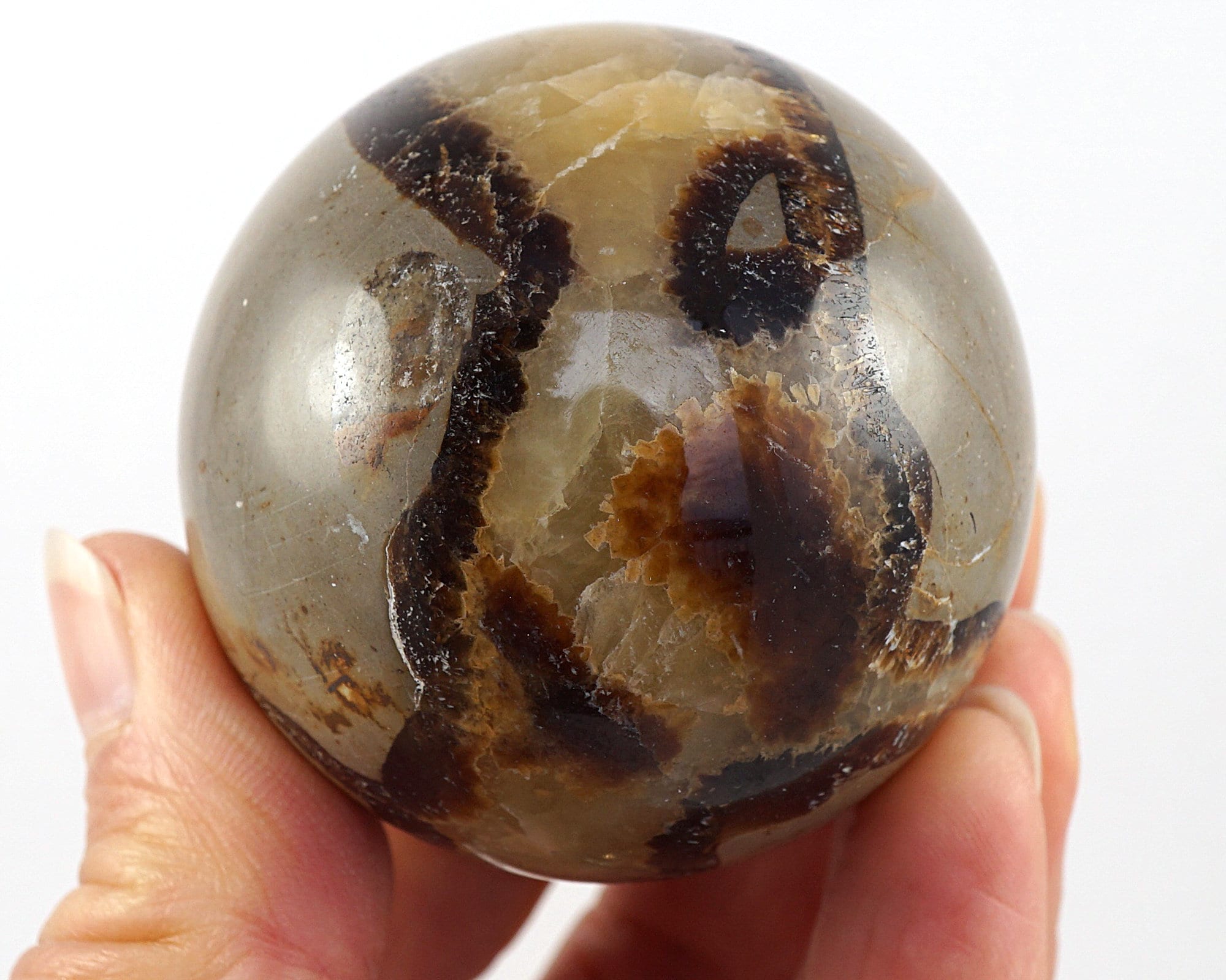 Rocks & Geodes Stand Included Dragon Stone Druzy Septarian Sphere ...