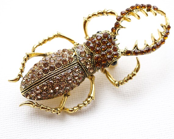 Golden Stag Beetle Size