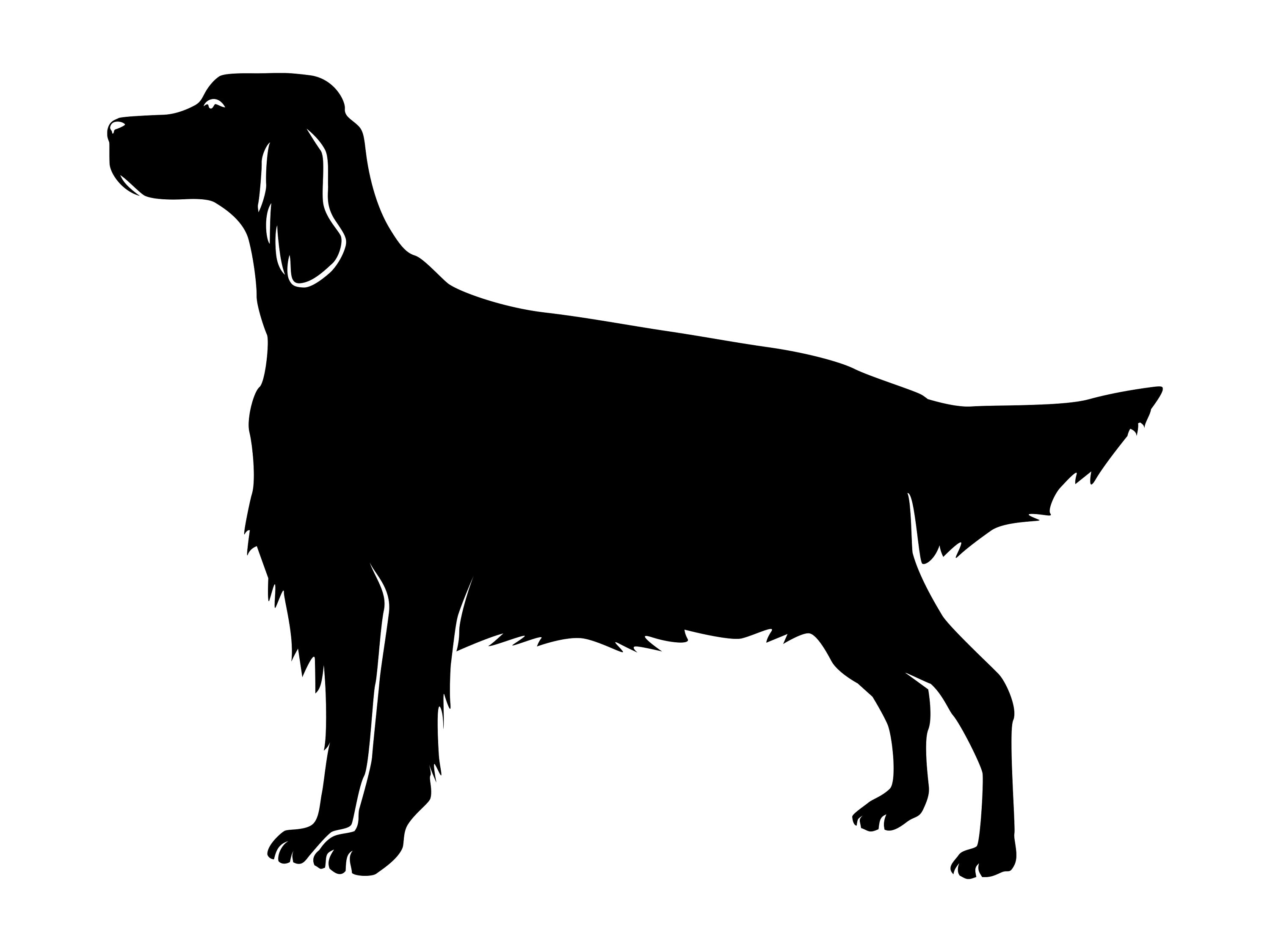 Black Irish Setter