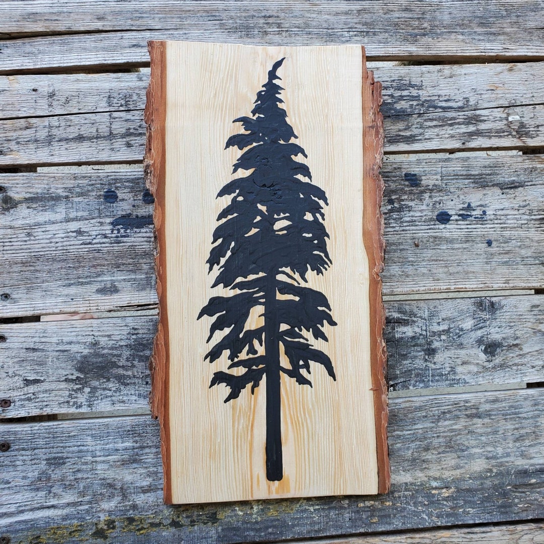 Sitka Treeline Forest Live Edge Douglas Fir Vancouver Island ...