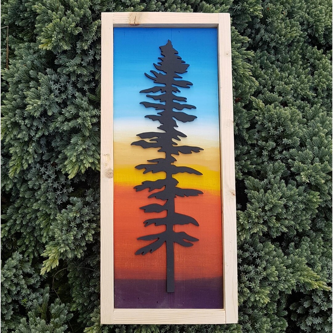 Sitka Tree Live Edge West Coast Vancouver Island Westcoastkitsch Forest ...